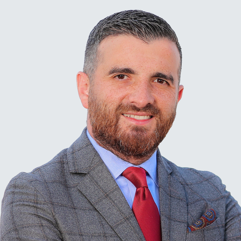 Daniel Hadar | Nestor Nestor Diculescu Kingston Petersen | Attorneys ...