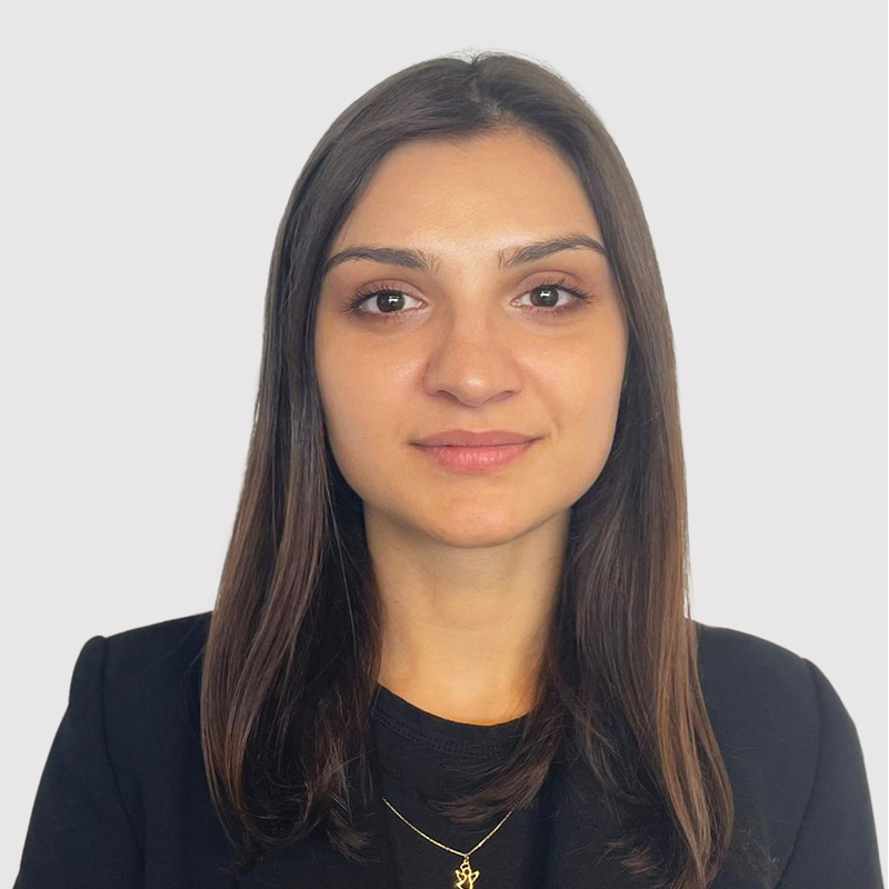 Andreea Codrea | Nestor Nestor Diculescu Kingston Petersen | Attorneys ...