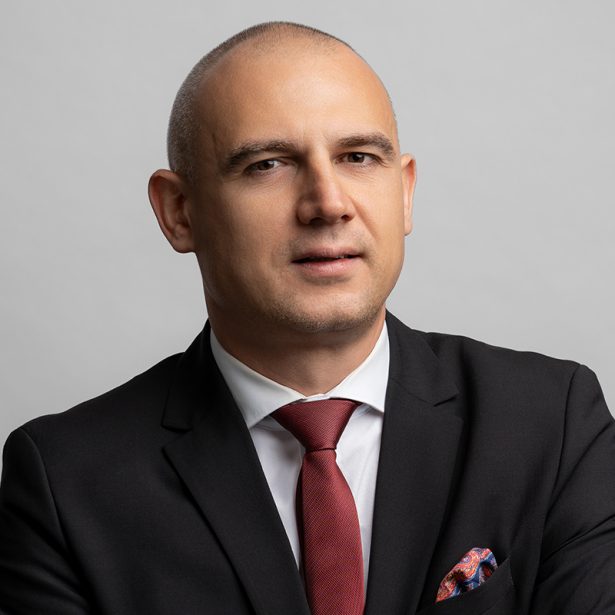 Razvan Vlad | Nestor Nestor Diculescu Kingston Petersen | Attorneys ...