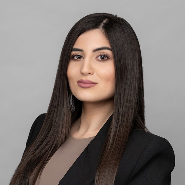 Daria Pulbere | Nestor Nestor Diculescu Kingston Petersen | Attorneys ...